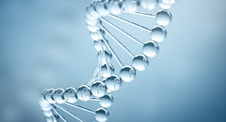 Gene Synthesis Service - Quintara Bio | Expert DNA Sequencing Solution